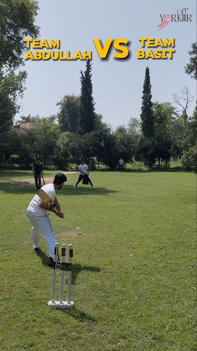 🗿Amazing Defending By Abdullah🔥 Abdullah Vs Basit - Team 1 Over Match - Off Yorker # ...