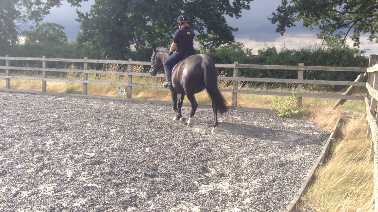 Sam and Solly Prelim 18 - YouTube