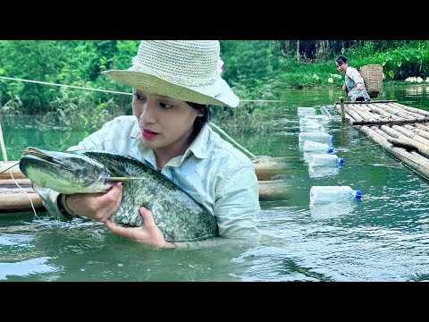 Traditional Fishing Skills - Catching Giant Fish in a Deep, Quiet Lake in the Middle of the Jungle