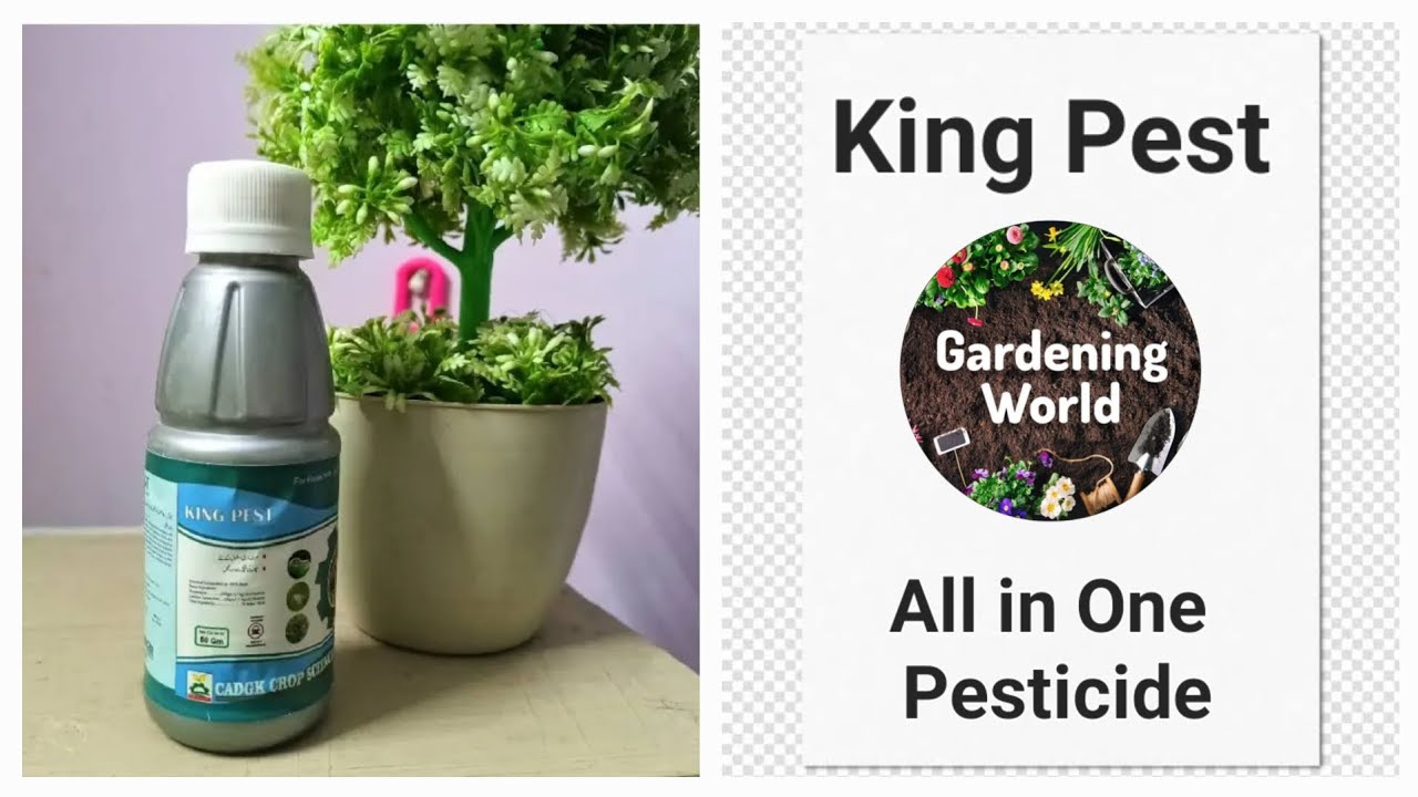 King Pest. All in One Pesticide For Plants. Full Detail #gardening ...