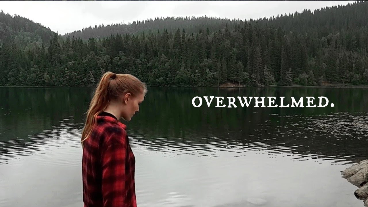 Seeking a sense of belonging in nature - YouTube