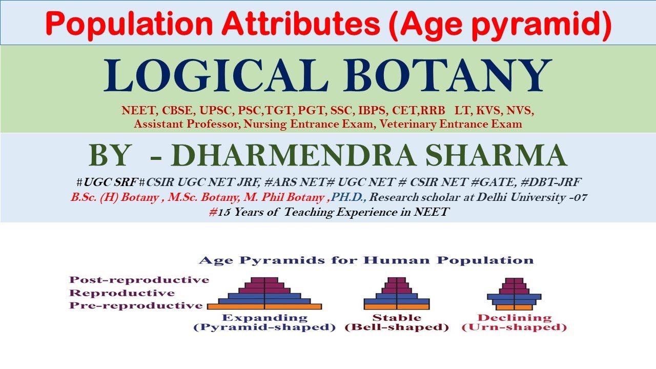 Population Attributes (Age pyramid) II NCERT - YouTube