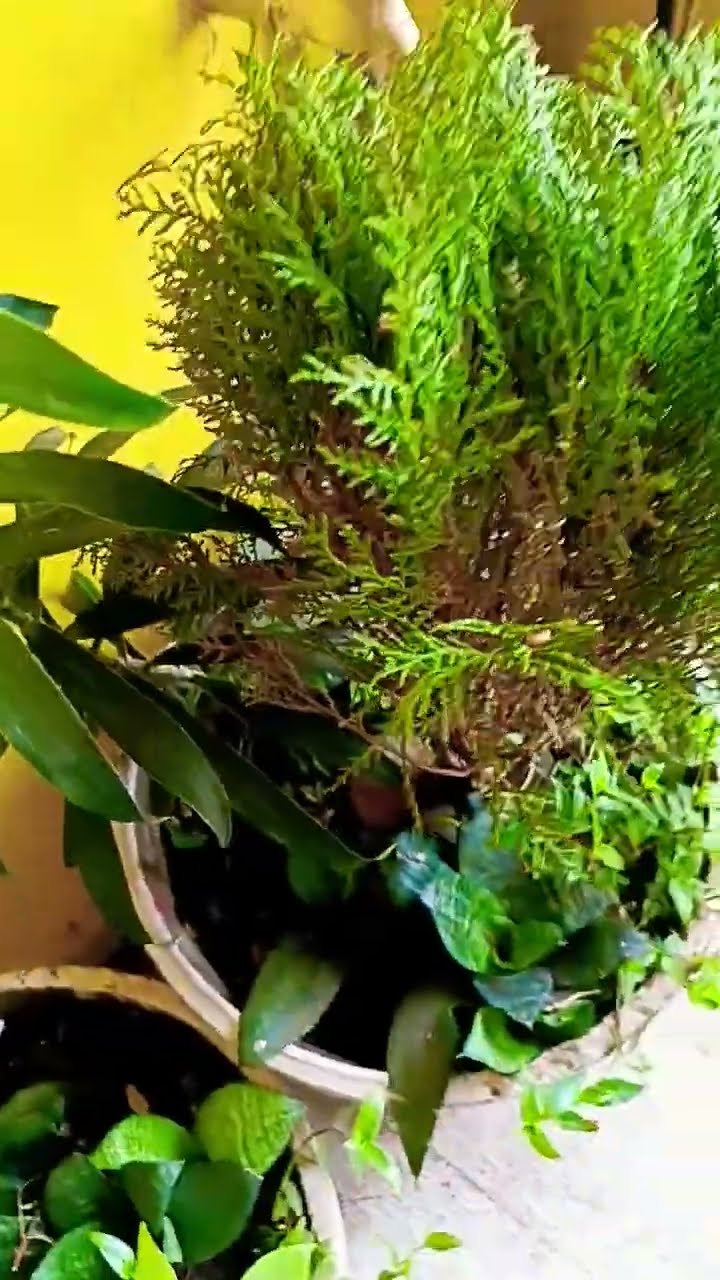 22 May 2024 - YouTube