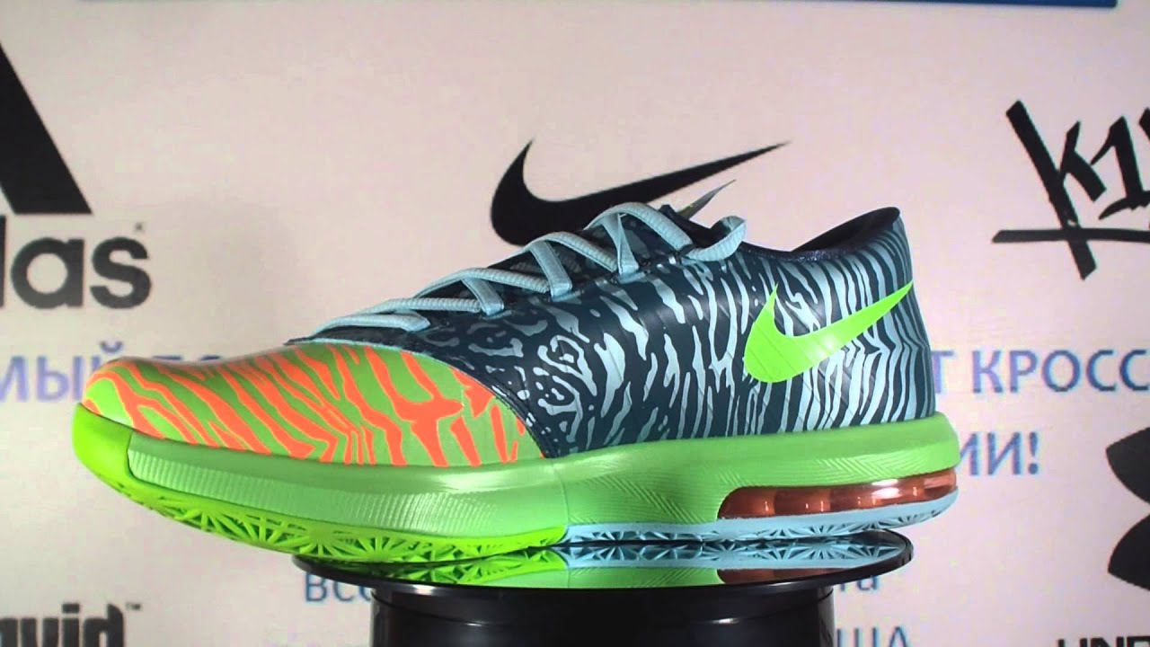 Nike Kd 6 Liger Socks