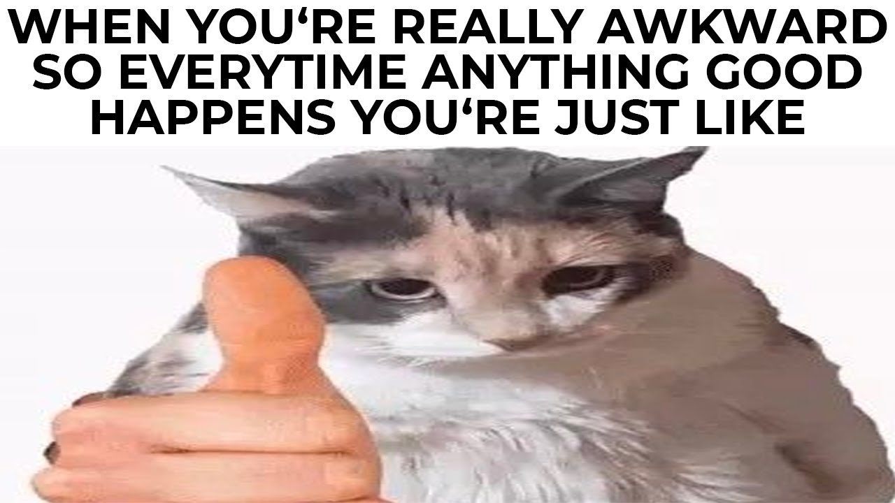 DAILY DOSE OF MEMES 534 - YouTube