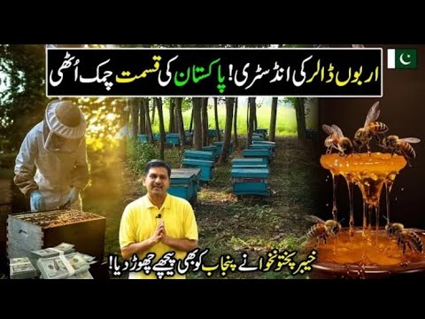 How to Earn Money from Beekeeping for biggners? | Honey Bee Farming In ...