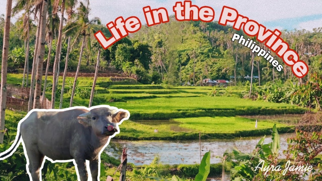 Life in the Province| Philippines - YouTube