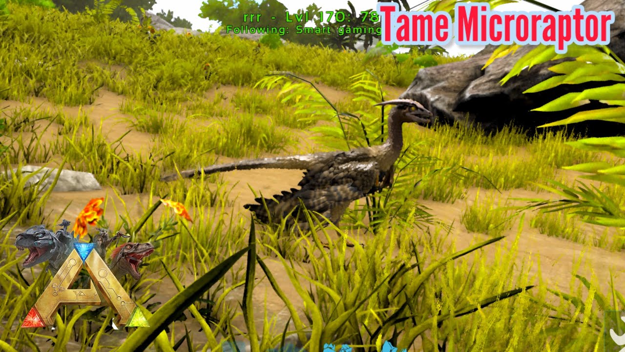 Hpw to tame Microraptor in ark mobile revamp|ARK MOBILE ULTIMATE ...