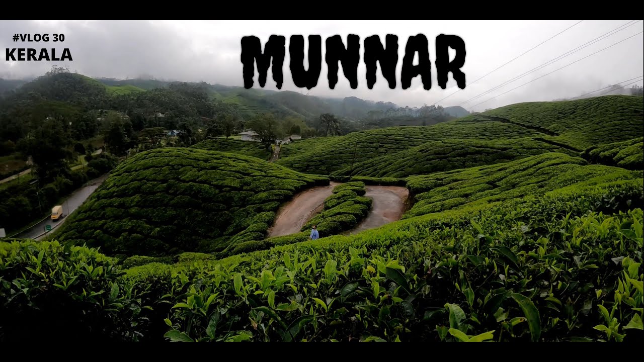 Munnar Festival | Munnar | Kerala | Munnar Tourism | Must Visit Place ...
