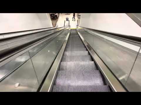Happy Escalator Monday! Montgomery Twinkie-M Escalators At Kohl’s ...