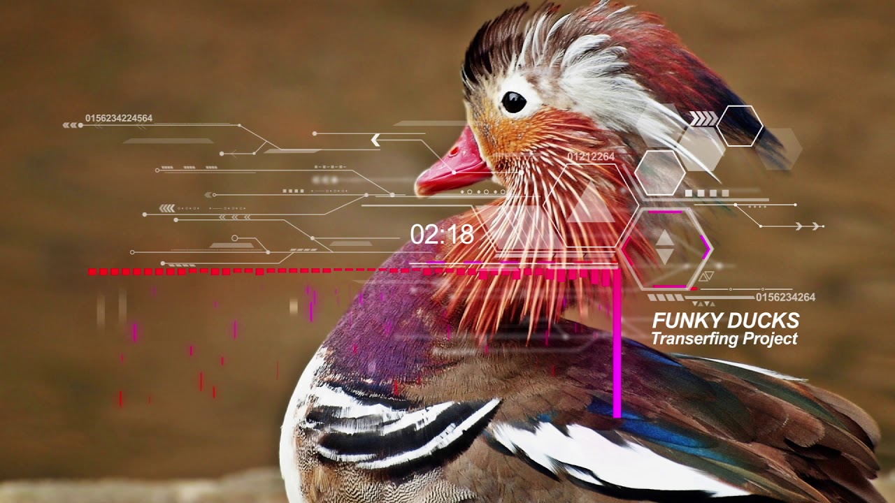 Transerfing Project - Funky Ducks (Official Audio) - YouTube Music