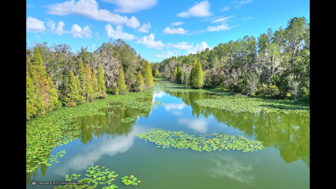 North Prong Secluded River Retreat, Lithia, FL - YouTube