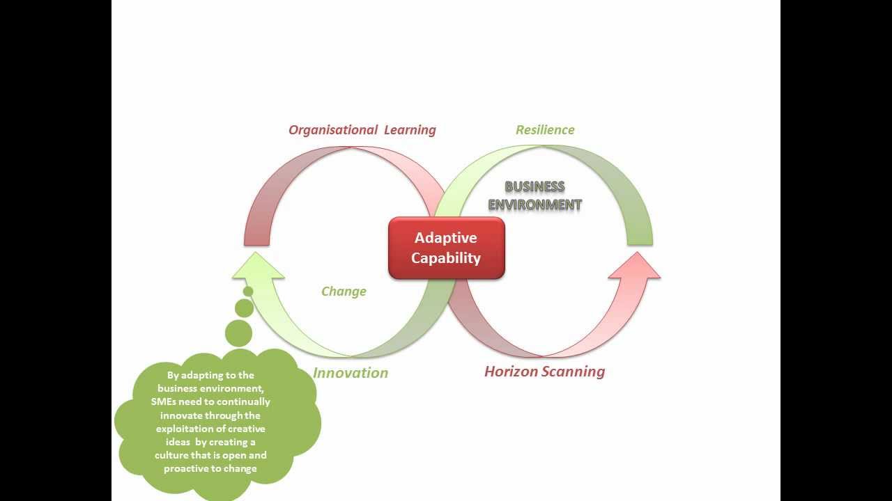 Adaptive Capability Video - YouTube
