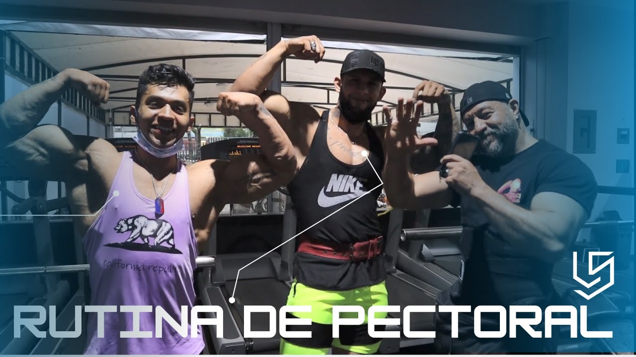 RUTINA DE PECHO CONGESTION MAXIMA FT DANIEL RABIELA - YouTube