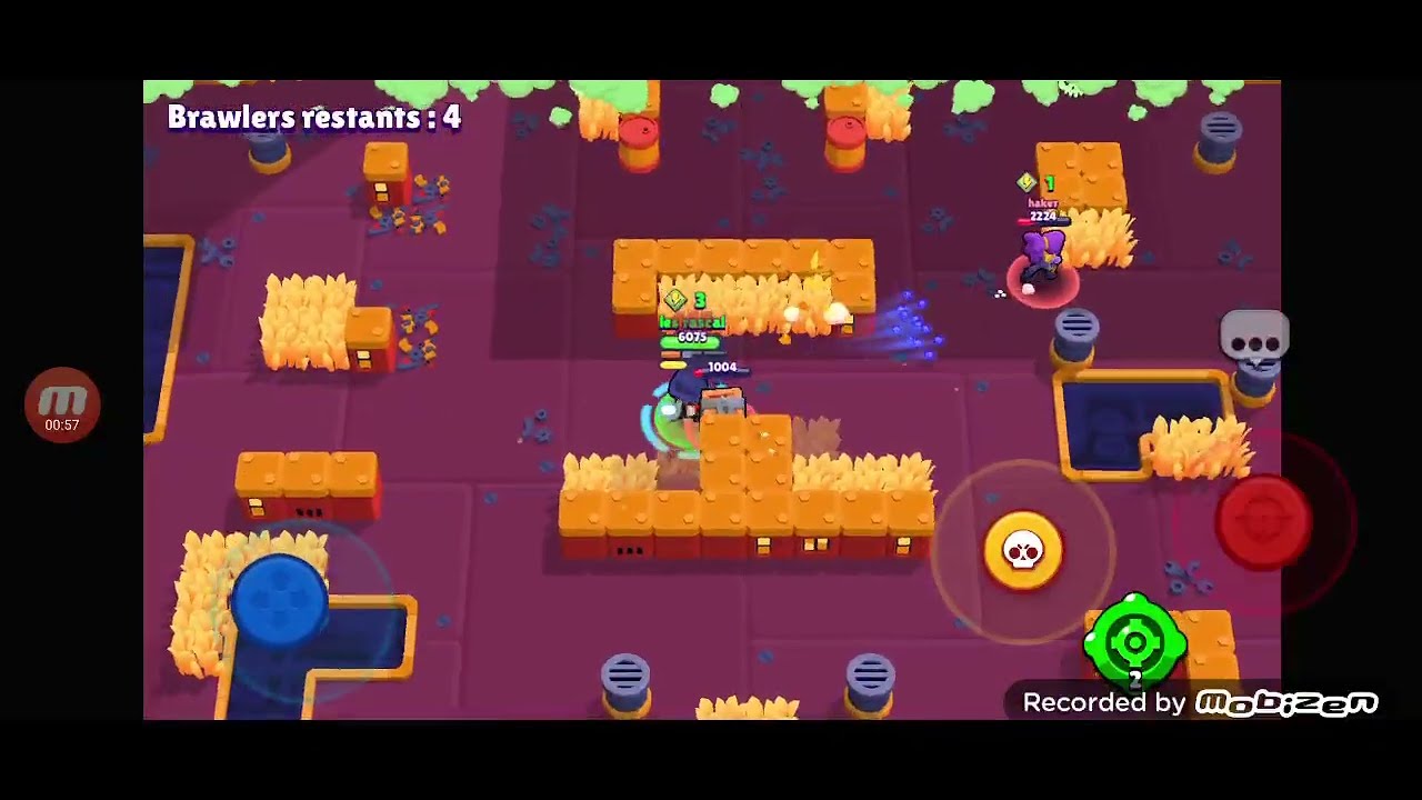 SHELLY GAME - YouTube