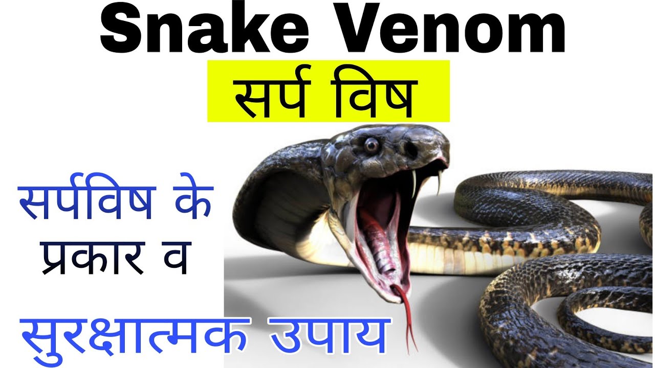 सर्प विष क्या है? परिभाषा, प्रकार, सुरक्षात्मक उपाय |snake venom in ...