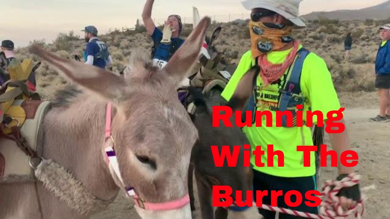 Running With The Burros | First Real Race Since Covid 19 - YouTube