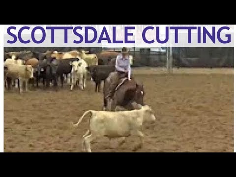 NCHA Scottsdale National Cutting Horse Show 2017 - YouTube