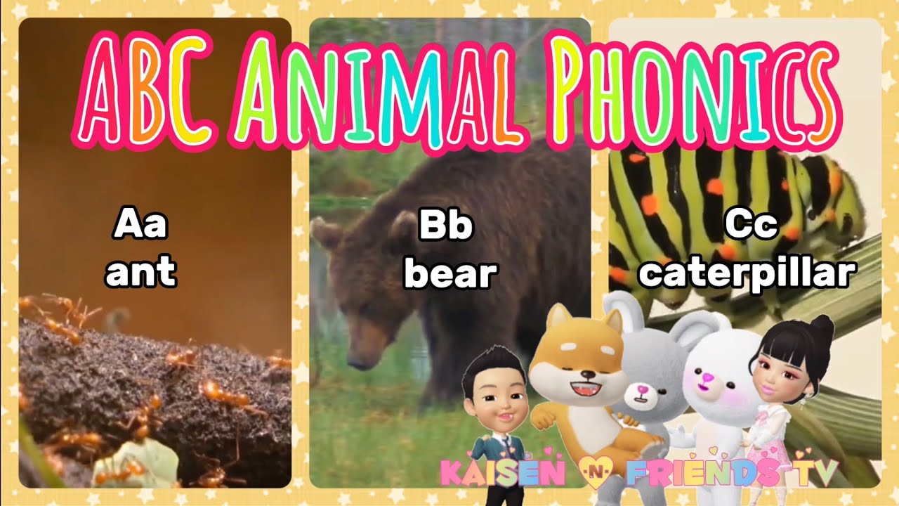 WATCH FULL-MOTION VIDEOS OF REAL LIFE ANIMALS and LEARN ABC Phonics ...
