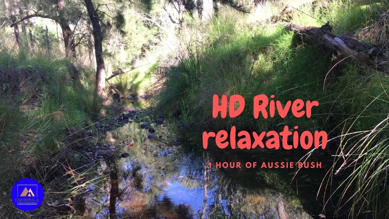 ASMR 1 hour, Australian River relaxation, unedited HD with birds and ...