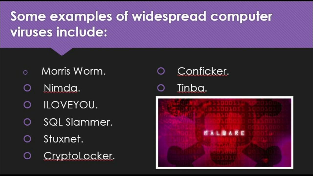 Demonstrate skills in preventing viruses and other malicious code that ...
