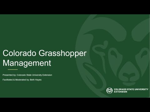 CSU Extension Colorado Statewide Grasshopper Webinar - YouTube