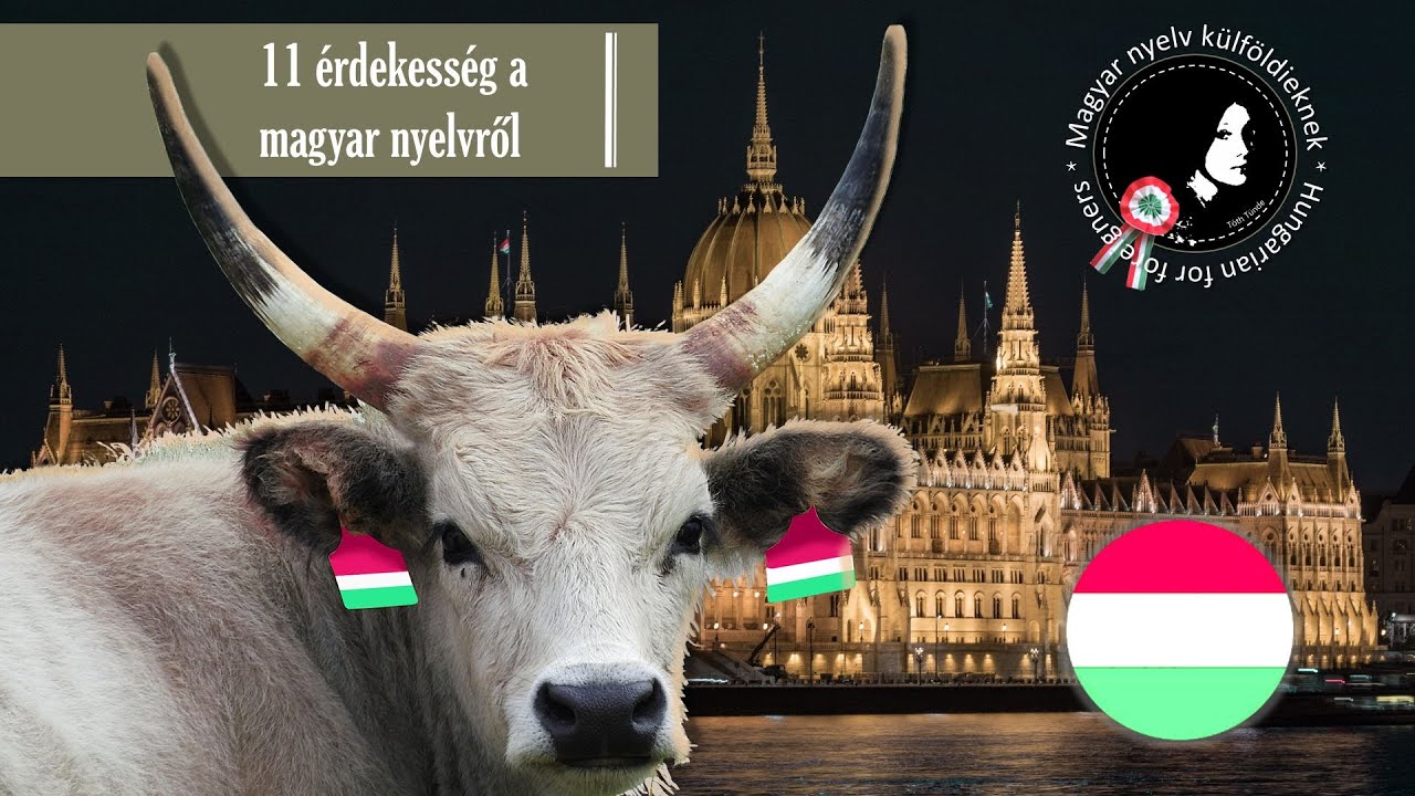 11 érdekesség a magyar nyelvről │ 11 fun facts about Hungarian ...