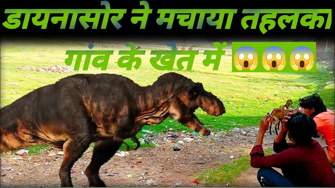 Real Dinosaur fighting video | fitinT-Rex Dinosaur Army Attack # ...