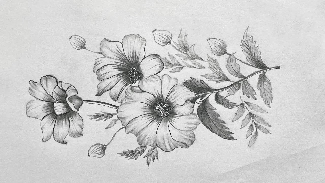 10 How To Draw Flower Sketch Step By Step Easy Drawing Pencil Art Drawing Youtube