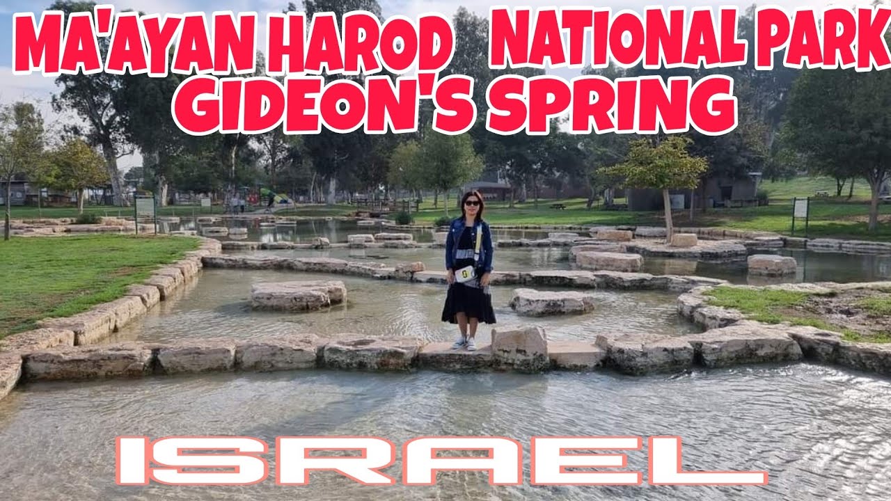 MA'AYAN HAROD NATIONAL PARK | GIDEON'S SPRING ISRAEL#maayan #israel # ...