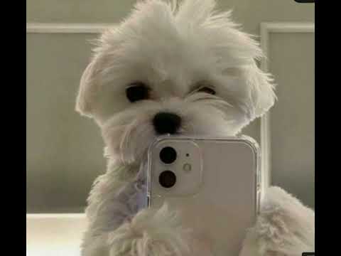 Oğuzhan Uğur||Biyolojik Unsur