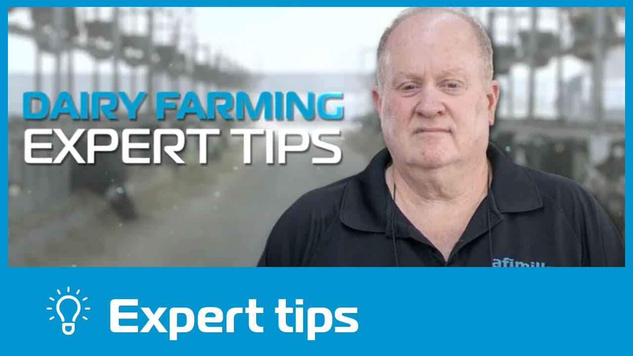 Sorting – Dairy Farming Expert Tips - YouTube