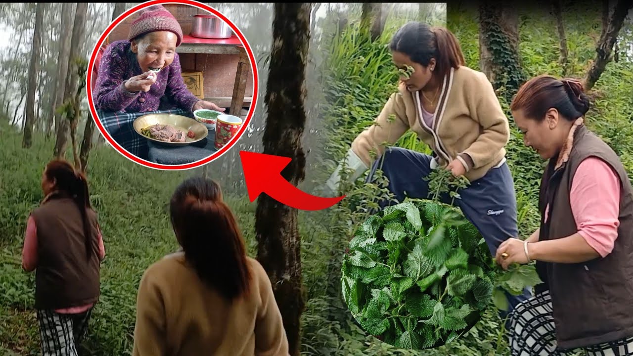 NETTLE ( SISNO ) AND DHIDO NEPALI VILLAGER FOOD ,GRAND MA EATING SISNO ...
