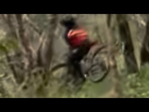 I head butt trees quality was bad - YouTube