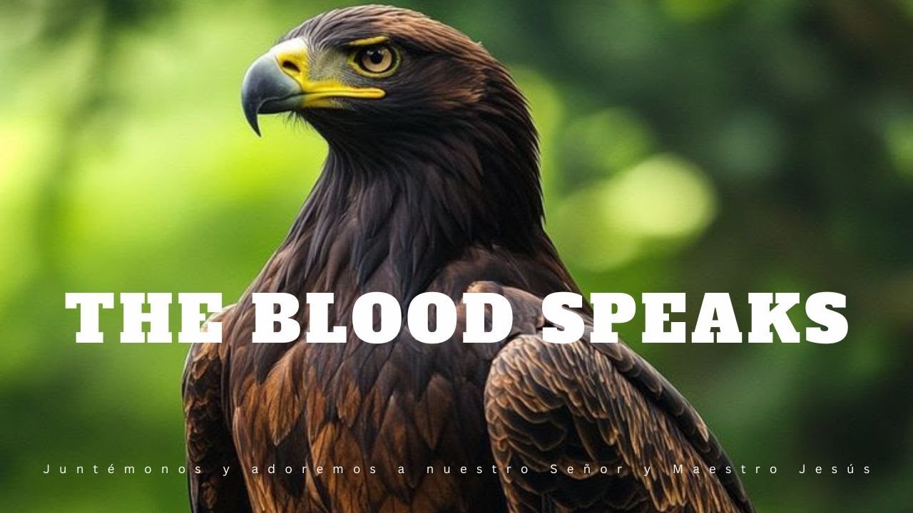 THE BLOOD SPEAKS/Prophetic Warfare Instrumental Worship/Background ...