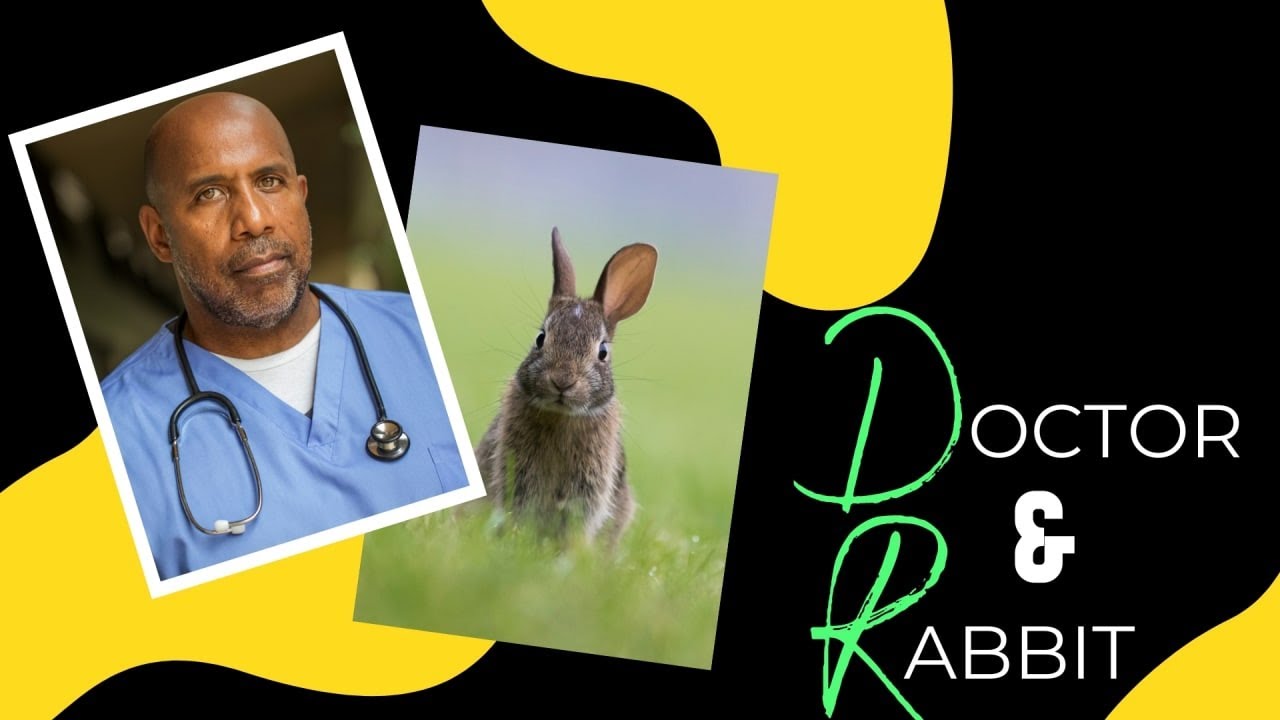 Doctor & Rabbit - YouTube