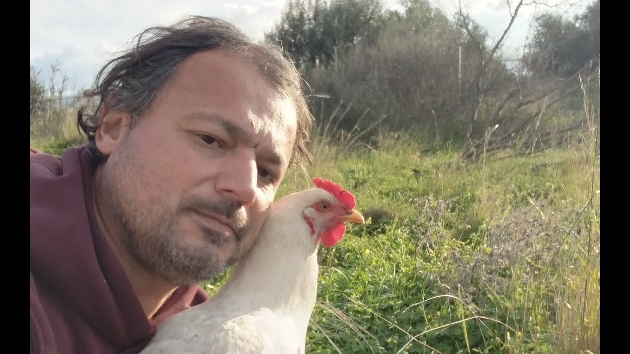 Ο Καθημερινός μου Γολγοθας για Τα Φτερωτά Παιδιά μου #natural #animals ...