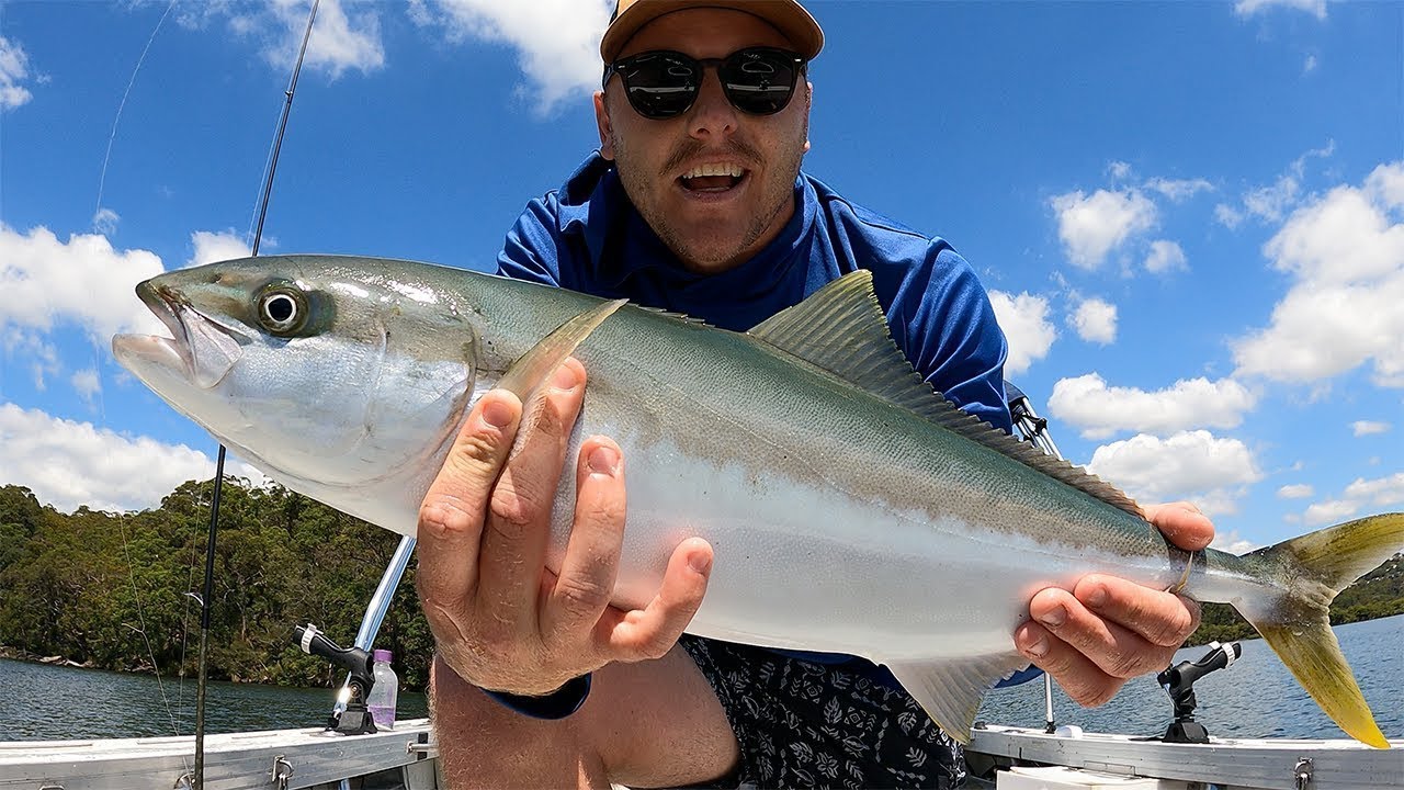 The Ultimate Kingfish Update: Everything You Need To Know - YouTube