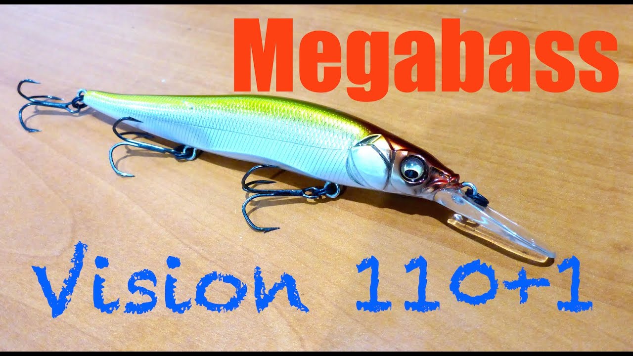 Megabass Vision 110+1 Review + Underwater Footage - YouTube