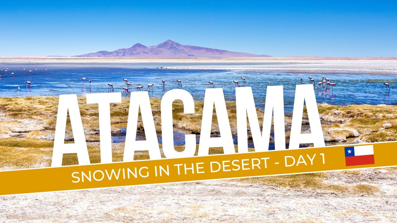 SNOW in the DRIEST PLACE ON EARTH: Atacama Desert Day 1 - YouTube