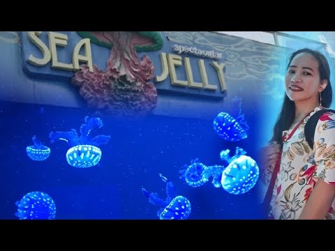 LET'S VISIT THE SEA JELLY SPECTACULAR ,OCEAN PARK HK||MHAYA VLOGS - YouTube