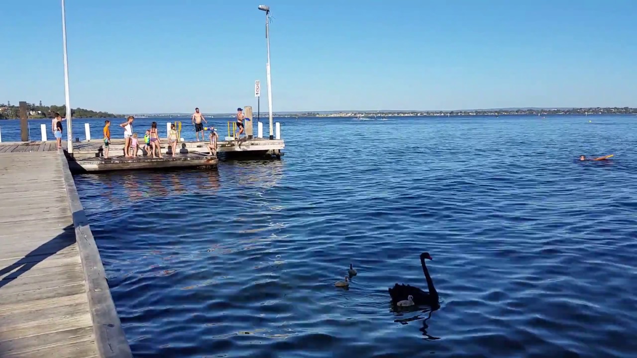 At Point Walter reserve 20161126 171611 - YouTube