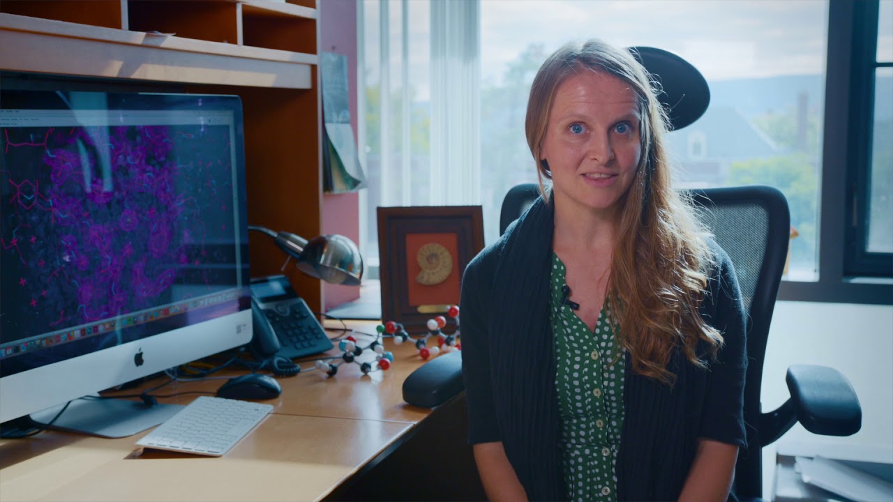 Amie Boal, Penn State: Watching Metalloenzymes at Work (2018) - YouTube