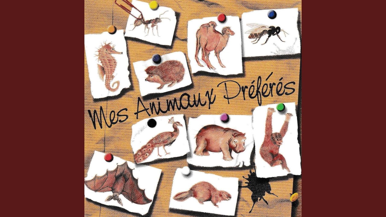 Le Hérisson (Karaoké) - YouTube