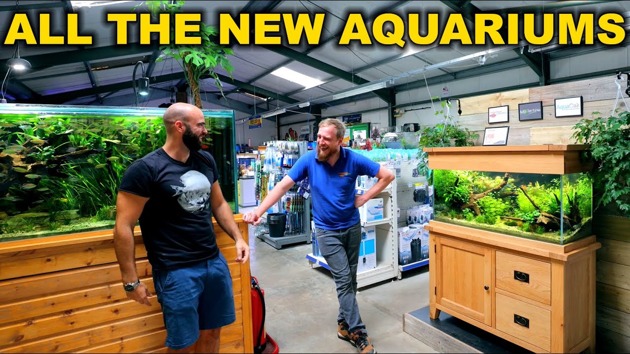 8ft African Tank, 150 Neon Tetra & 4ft Discus Blackwater...HUGE Update ...