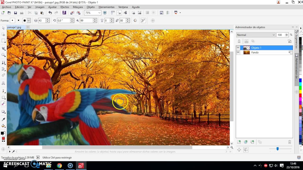Corel Photo Paint: Borrador y objetos - YouTube