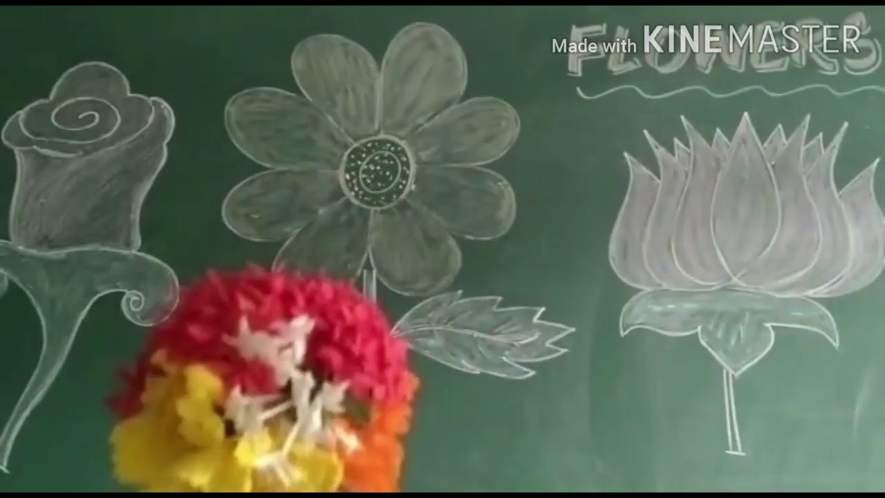 TEACHING FLOWERS FOR LKG STUDENTS/COLOURS OF FLOWERS - YouTube