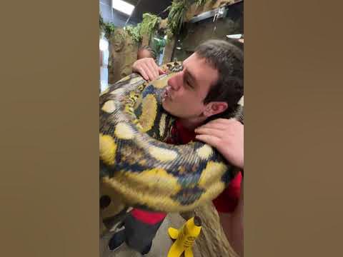 20 Foot Snake VS 2 Guys! 🐍 #reptiles - YouTube