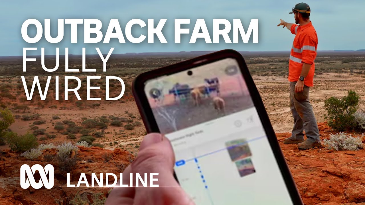 Remote Prenti Downs cattle station in WA creates Australia's biggest ...