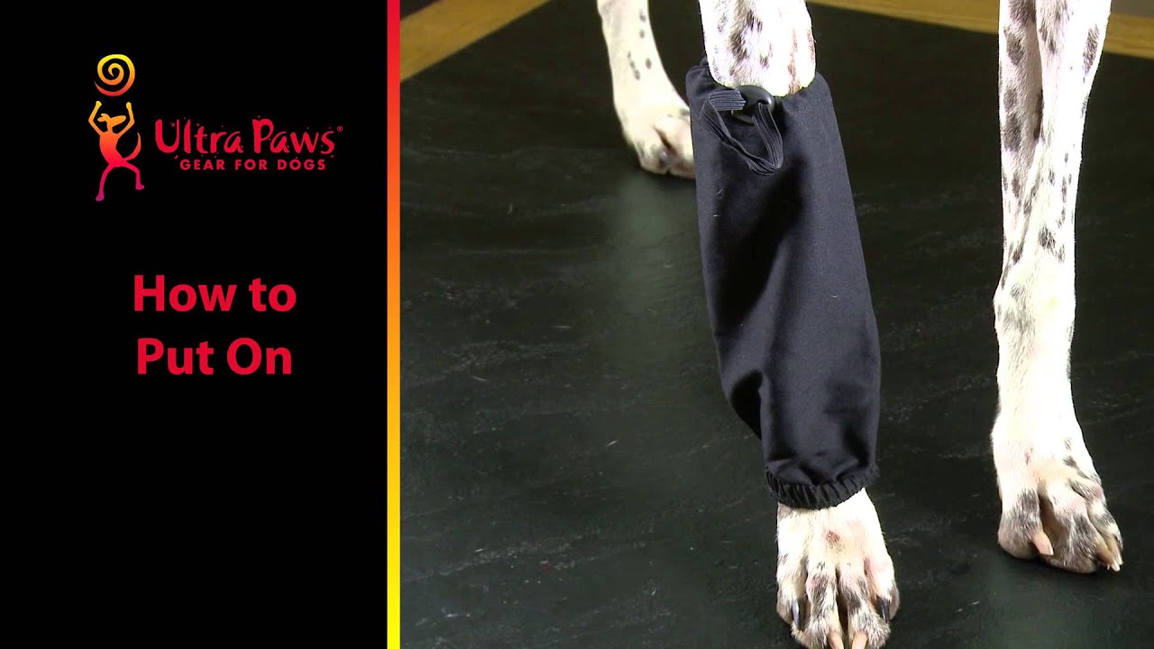 Ultra Paws Leg Wraps - YouTube